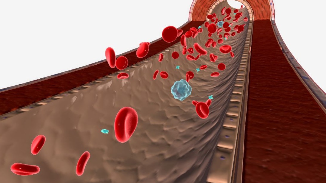 Miễn dịch không đặc hiệu là gì và cơ chế hoạt động thế nào?