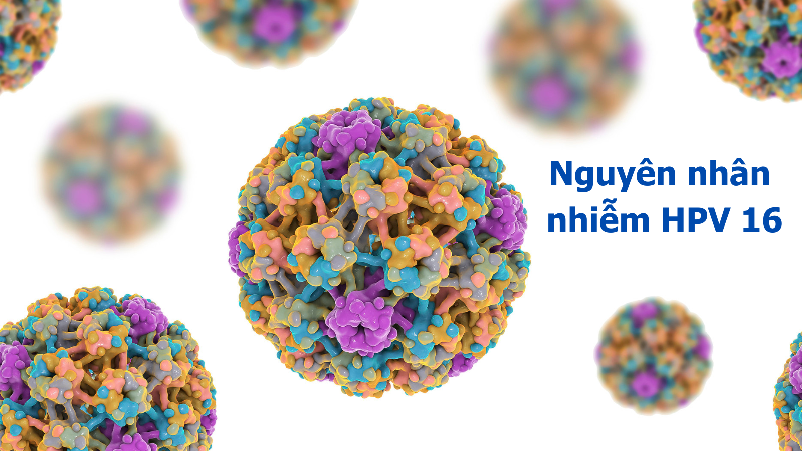 HPV type 16 là gì? HPV 16 có nguy hiểm không?