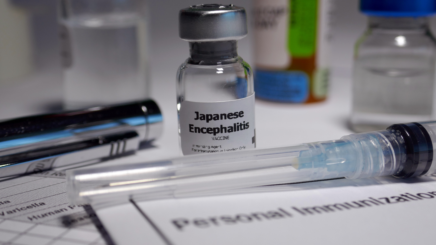 Vì sao cần tiêm phòng viêm não Nhật Bản? Lịch tiêm và lưu ý