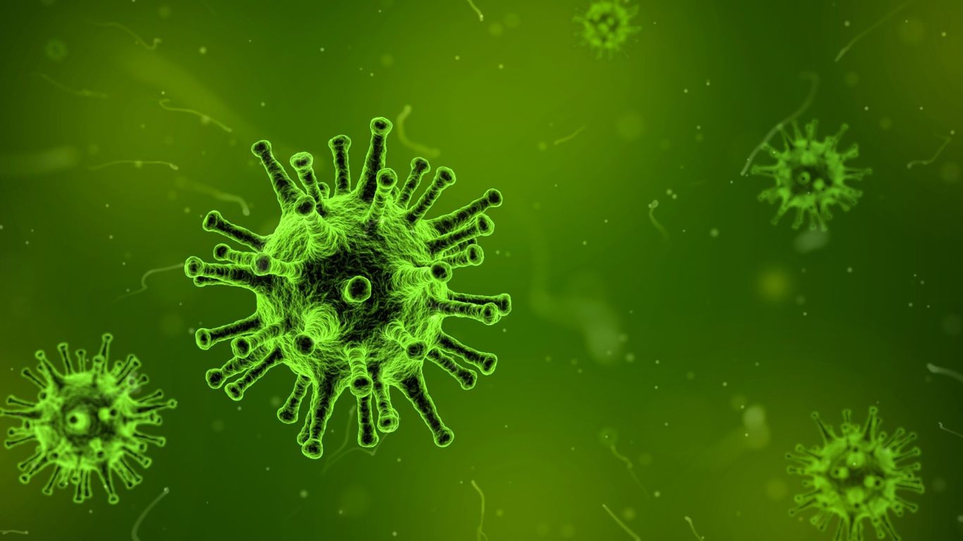 Có mấy loại miễn dịch? Sự khác biệt giữa các loại miễn dịch