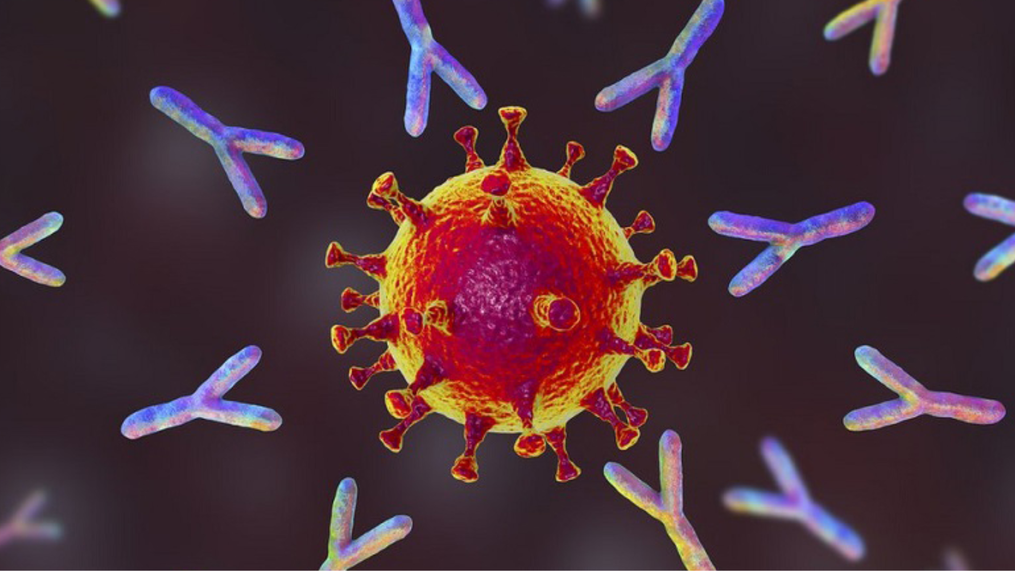 Kháng nguyên là gì? Có vai trò như thế nào trong hệ miễn dịch?