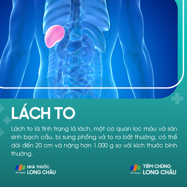 Lách to: Nguyên nhân, triệu chứng và phương pháp điều trị - Trung tâm ...