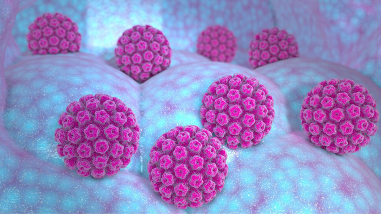 HPV 16 là gì? Có chữa được không? Có nguy cơ gây bệnh gì?