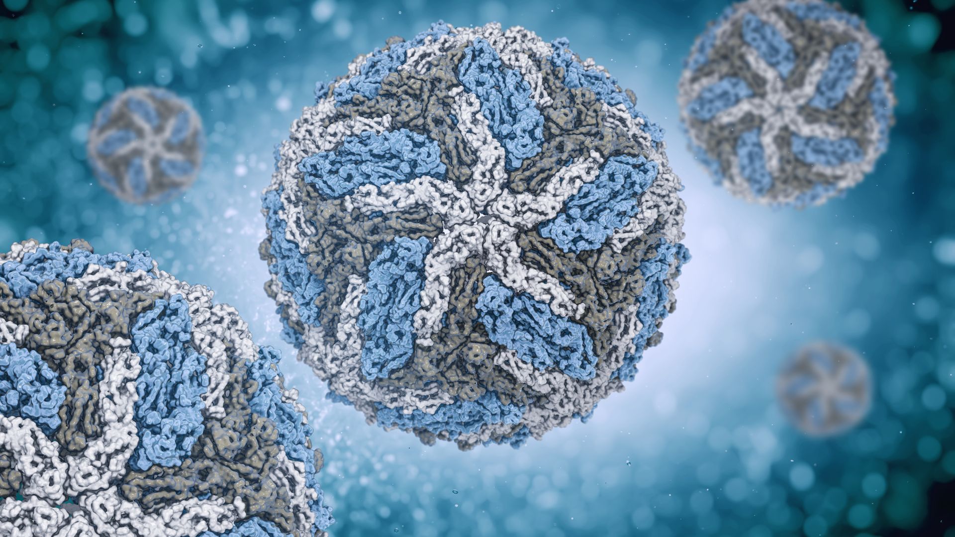 Virus Dengue gây bệnh gì? Cách điều trị và phòng ngừa